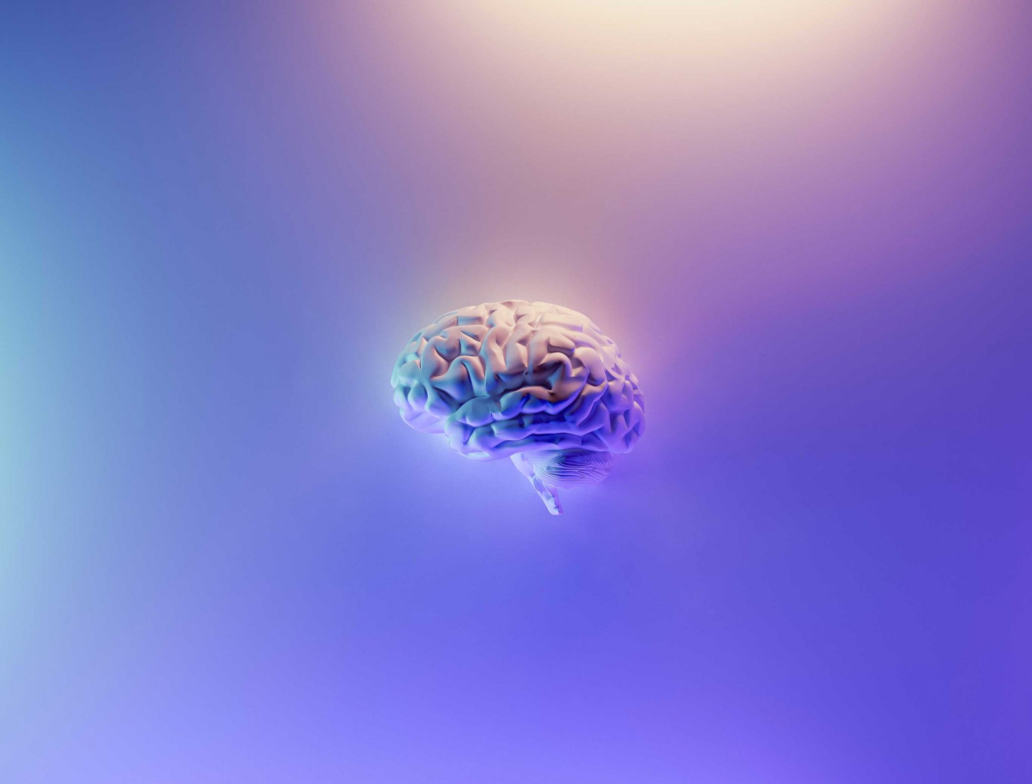 how-to-develop-your-children-through-brain-training